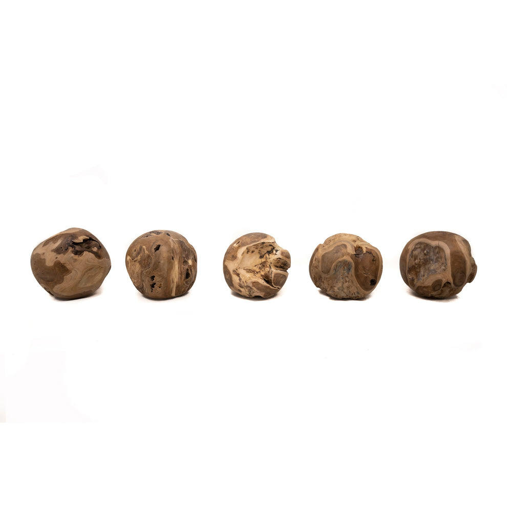 Teak Root Ball Sculpture – FROM THE SOURCE